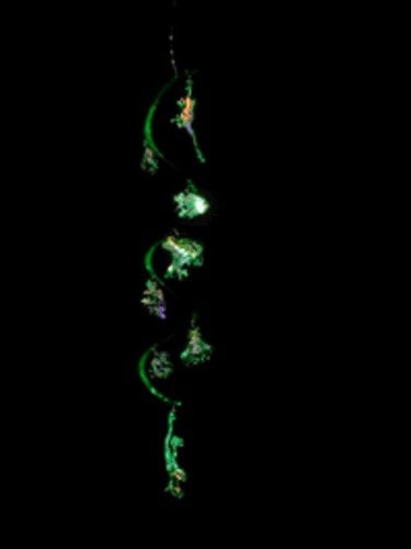 Frog Spiral Mobile - Walmart.com