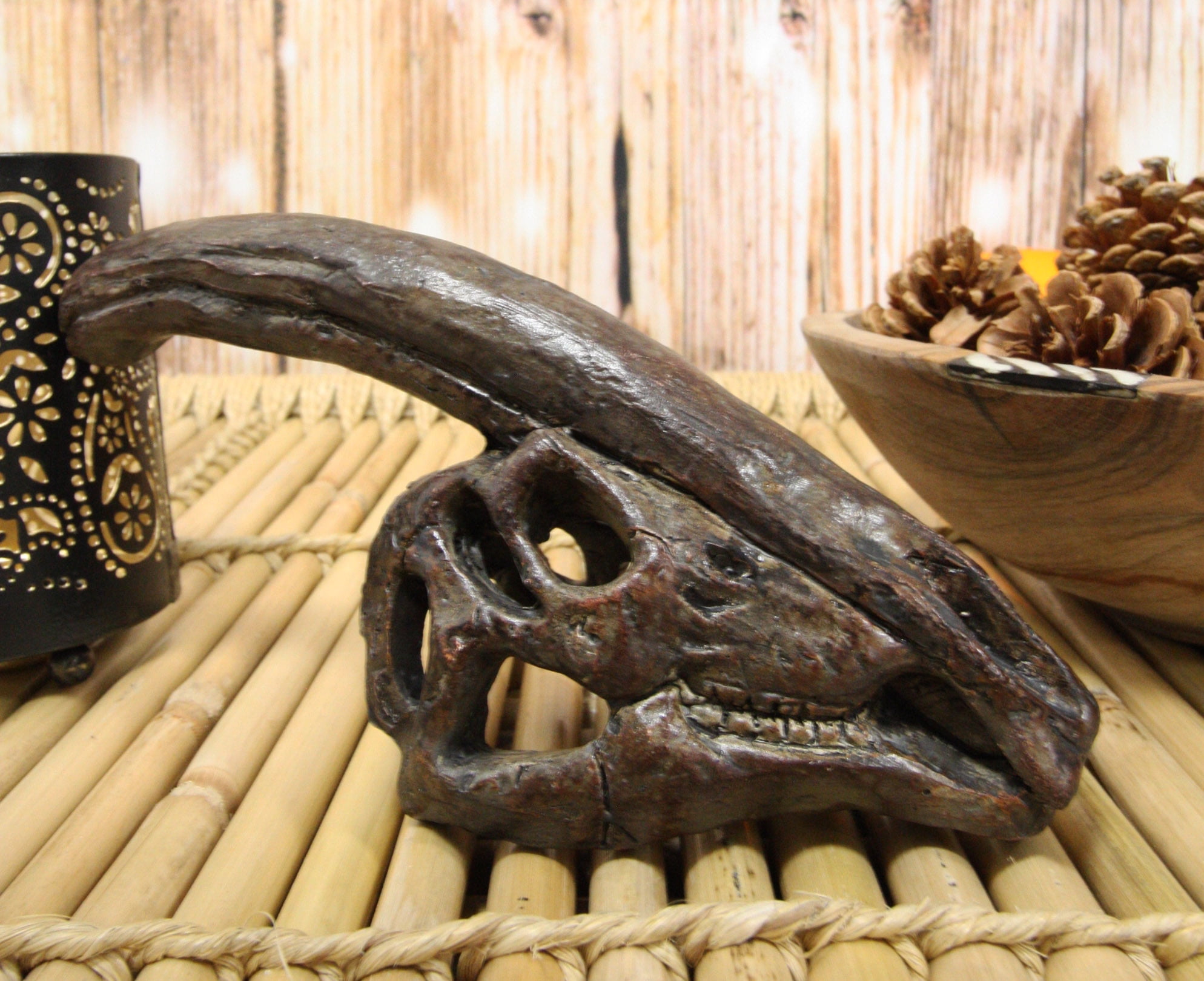 Faux Taxidermy Replica Parasaurolophus Dinosaur Head Fossil Small Skull ...