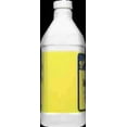Sunniland Liquid Iron Fertilizer, 1 gal - Walmart.com