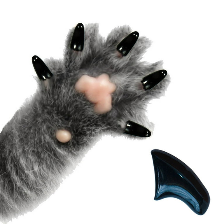 Cat Paw Claw