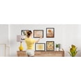 8x10 Picture Frames Set of 18, Multi Photo Frames 8 by 10 Bulk for Wall ...