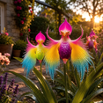 50-150pcs，Bird Iris seeds, a rare and beautiful variety, suitable for ...