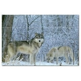 Wolf Wolves Ceramic Tile Mural Kitchen Backsplash Bathroom Shower ...