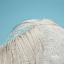 Widowspeak - All Yours - Music & Performance - CD - Walmart.com