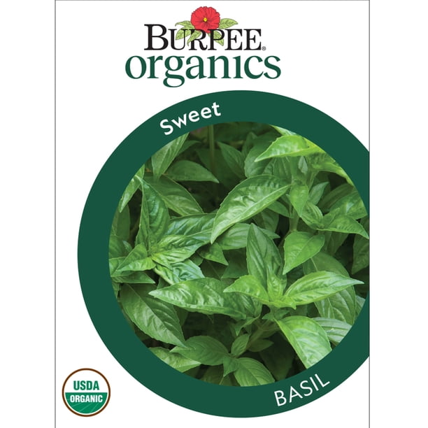 Burpee Organic Sweet Basil Herb Seed, 1-Pack - Walmart.com