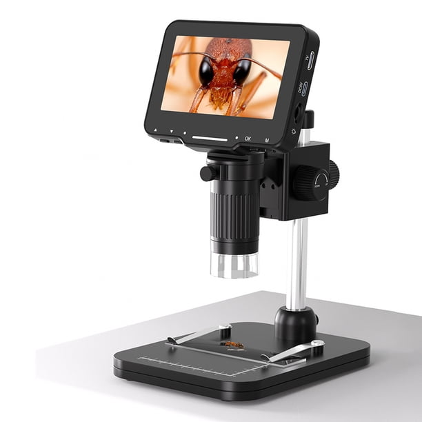 Microscopio Digital Moneda microscopio HD 1080P 4,3 pulgadas IPS ...