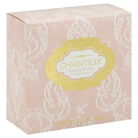 Dana Perfumes Chantilly Dusting Powder, 5 oz - Walmart.com