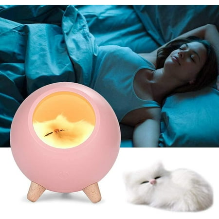 Sleeping Cute Cat Night Light - Little Pet House Atmosphere Light Usb ...
