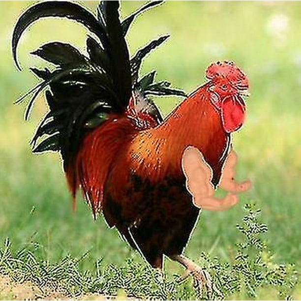 Ssxjv Hulk Arms For Chicken Prank Chicken Arm Toy Dinosaur Hand Muscle ...