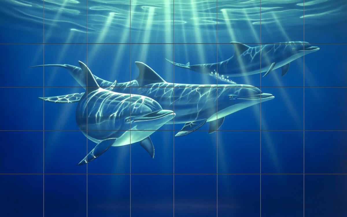 Tile Mural Bathroom Backsplash - Dolphin Trio - by Jeff Wilkie ...