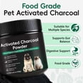 (2 Pack) Food Grade Pet Activated Charcoal Powder, Digestive Health ...