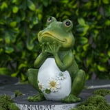 Roman Frog with Flowers on its Belly Outdoor Garden Statue - Walmart.com