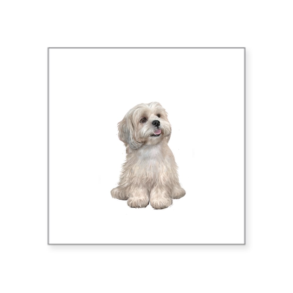 CafePress - Lhasa Apso (R) Square Sticker 3 X 3 - Square Sticker 3" x 3 ...
