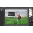 Office 2024 Home for PC & Mac Plus Gimp Photo & Image Editing software ...