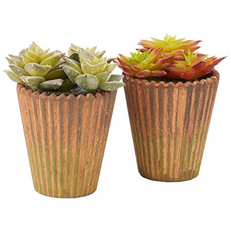 Worth Imports 3.5" Potted Hen & Chicks Succulent, Set of 2, 2 Piece ...