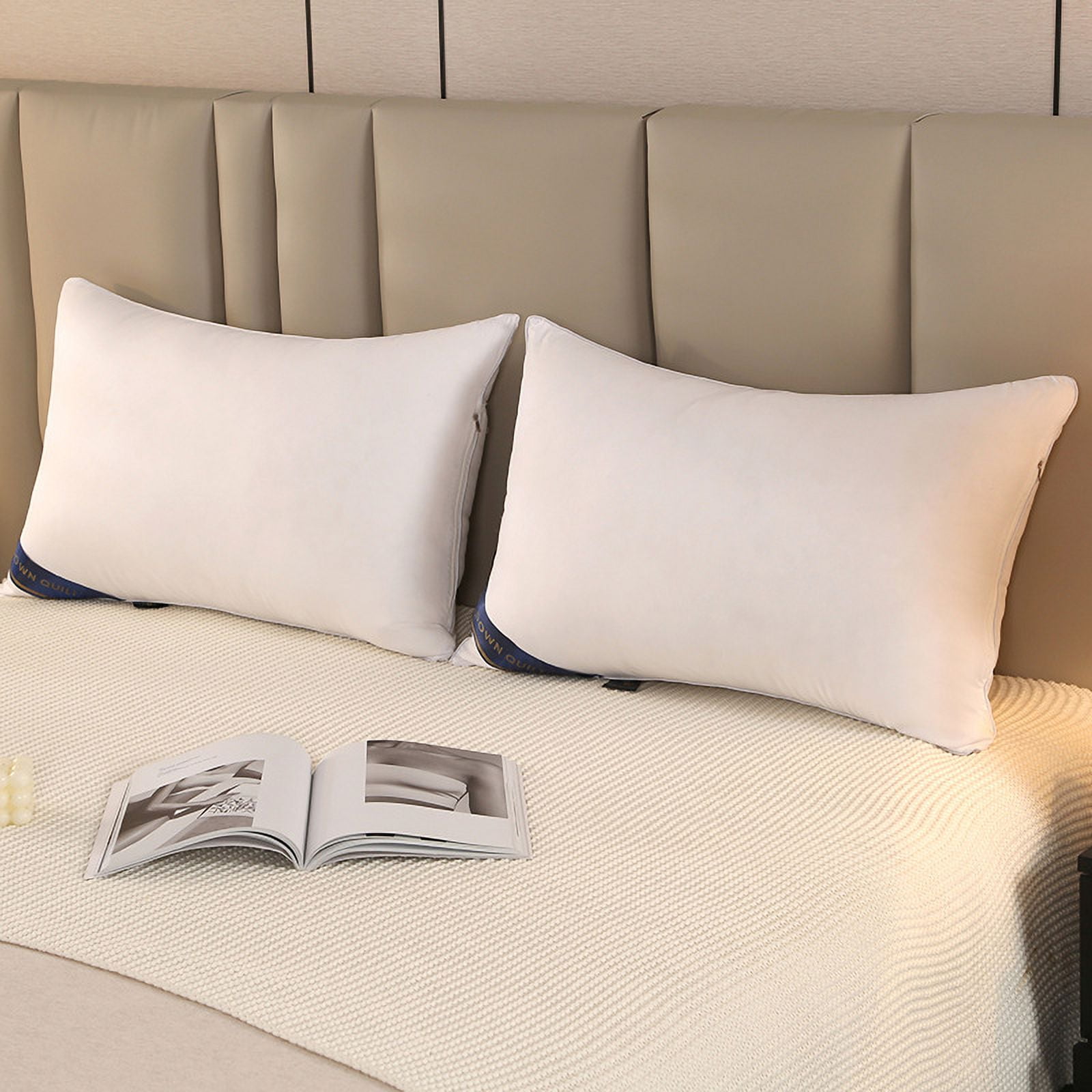 Click here for Dutchman Organic Cotton Queen Size Pillows  2-Pack... prices