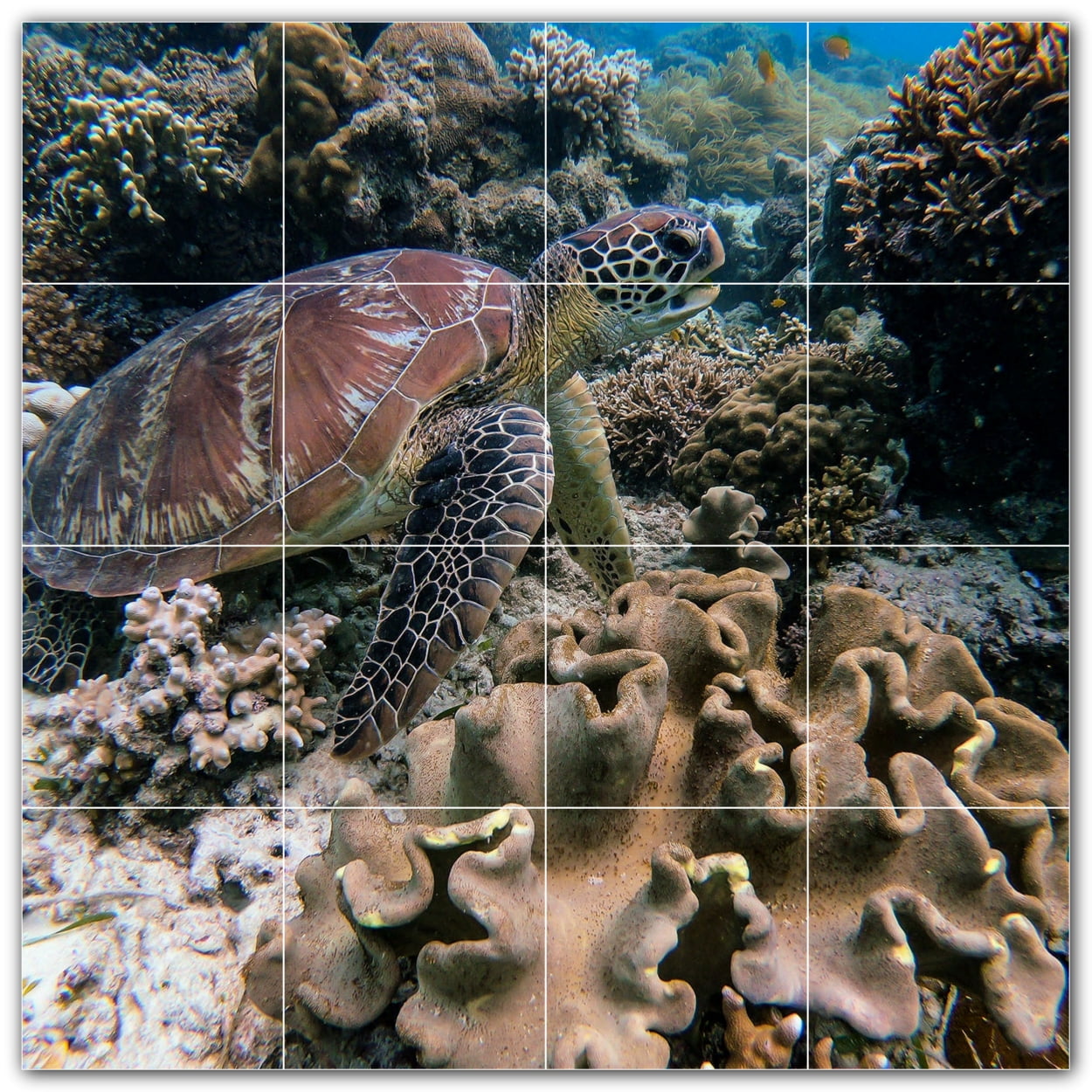 Picture-Tiles.com: Turtle Ceramic Tile Wall Mural WAL501068-44L. 32"W x ...