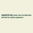 Spring Valley Vitamin B12 Supplement Timed-Release Tablets for ...