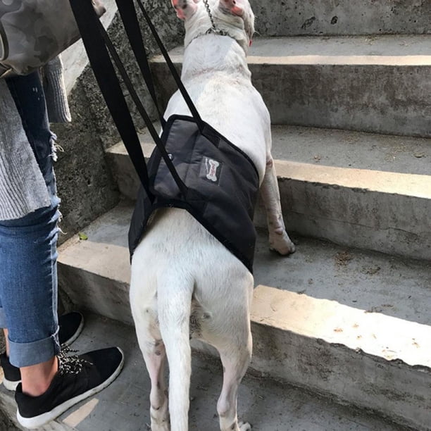 CNKOO Dog Lift Sling Harness | Heavy Duty Adjustable | Support for ...