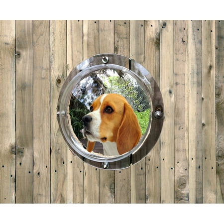 Pet Fence Dome Peek Bubble Window for Dogs - for Dogs See Outside ...