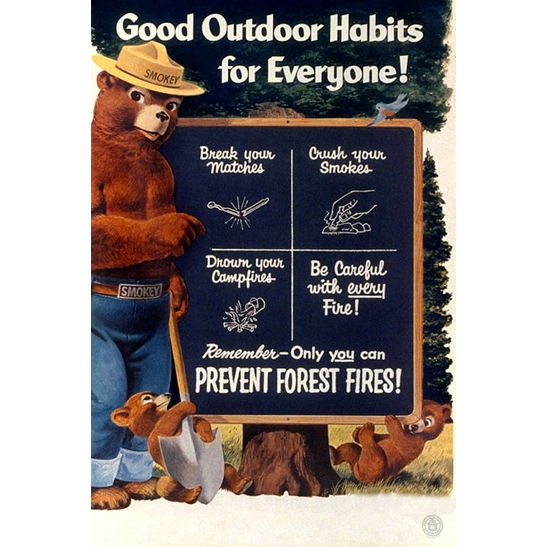 Smokey The Bear Poster