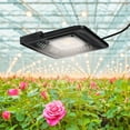 Full Spectrum COB Spotlight for Plant Growth 220V 50W Indoor LED Grow ...
