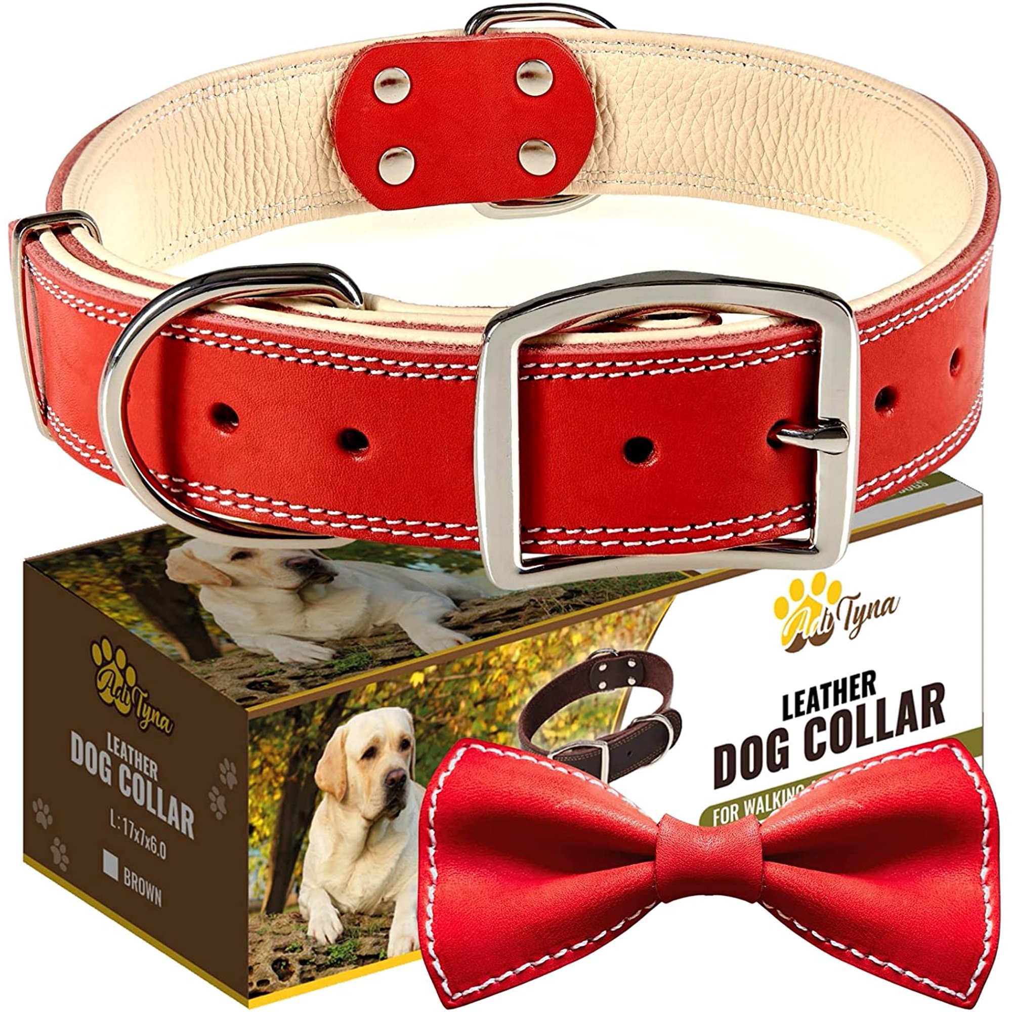 What Is The Recommended Space Between A Dogs Collar And Its Neck