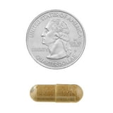 Equate Memory Support Dietary Supplement Capsules, 30 Count, Compare vs ...