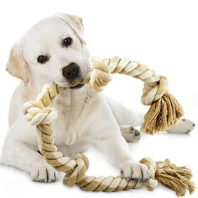 PETMATE 31626 Mutant Kitty Dog Toy - Walmart.com