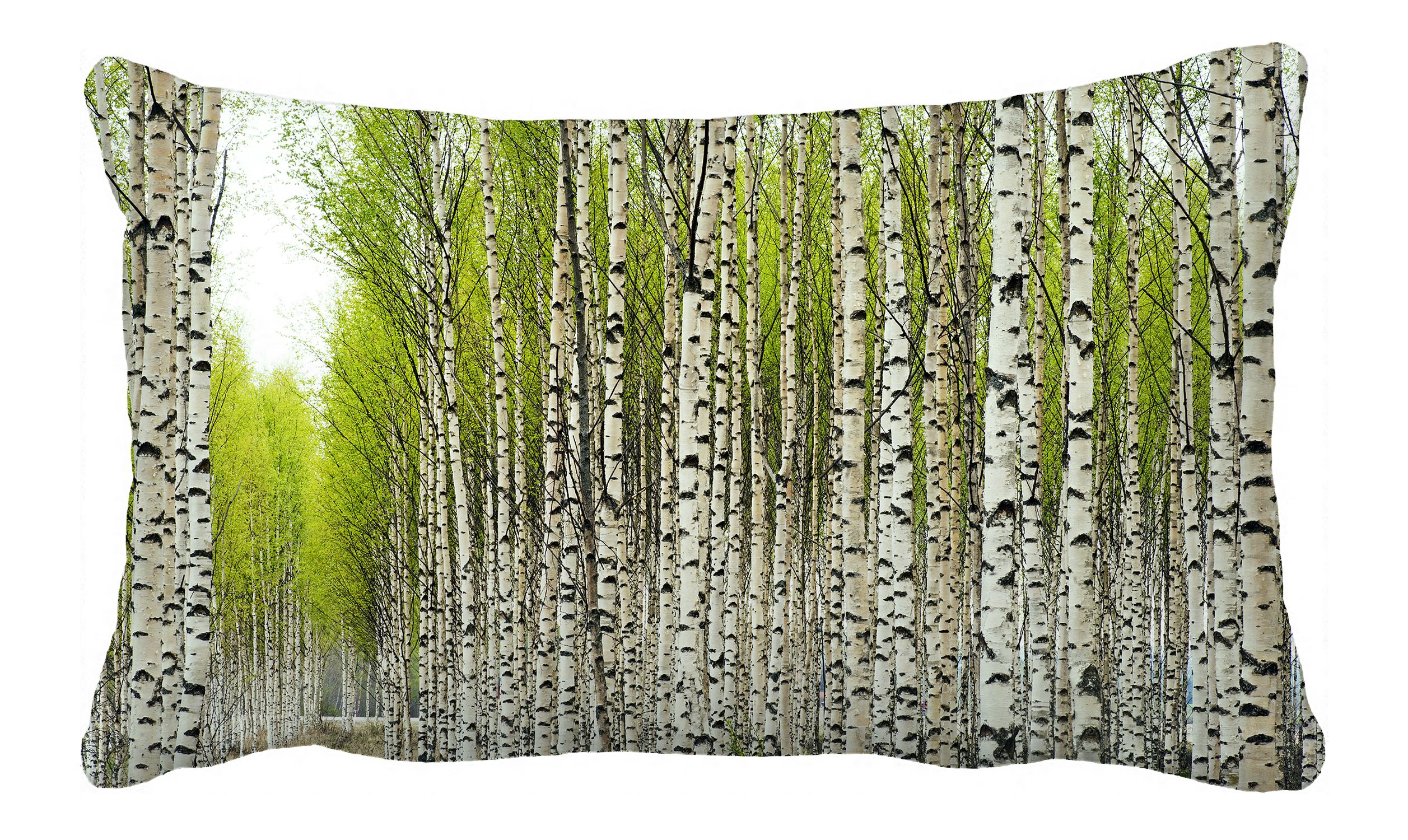 YKCG Green Birch Tree Bare Birch Trees with Fresh Green Leaves in ...