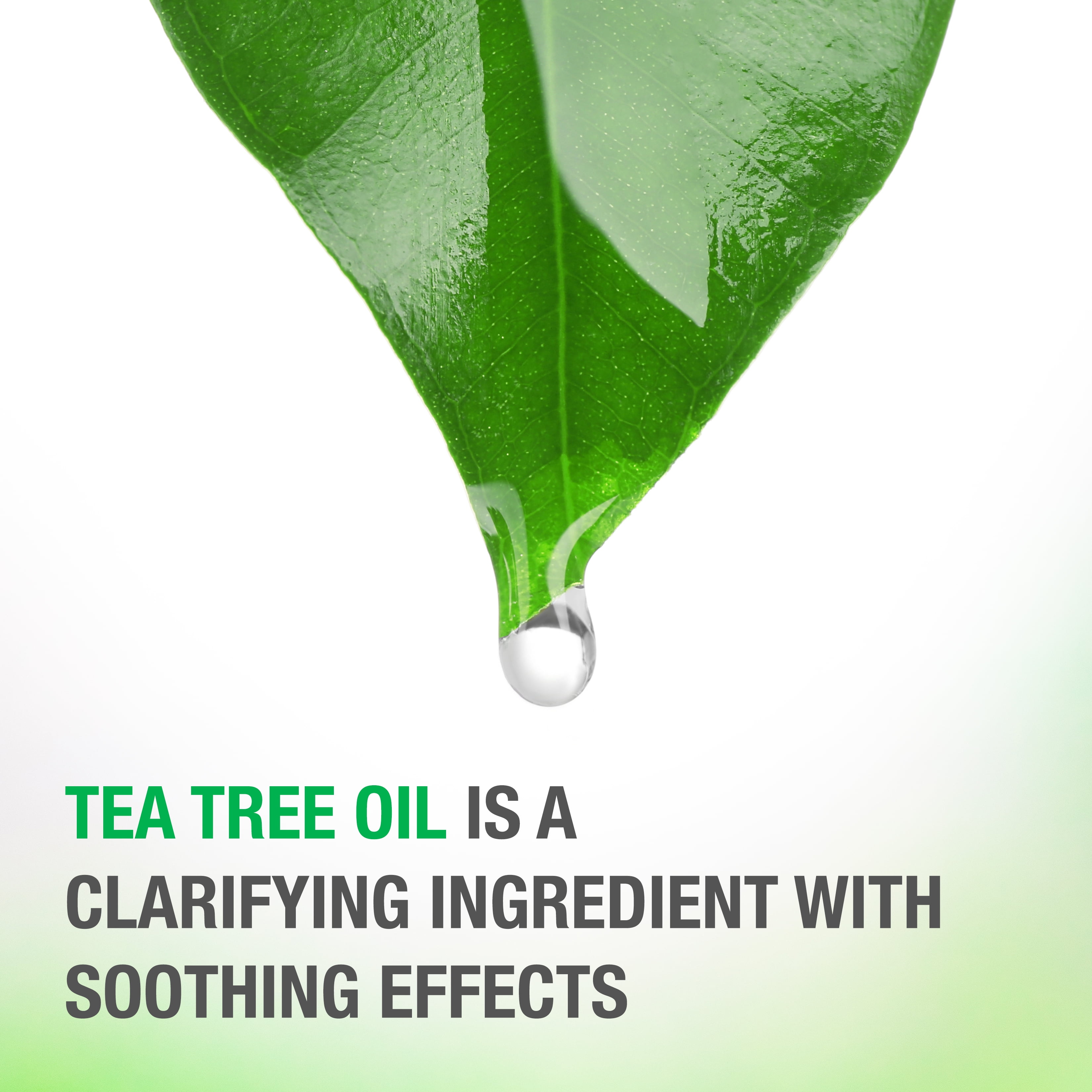 Neutrogena Tea Tree Oil Shampoo to Refresh & Moisturize Dry Scalp ...