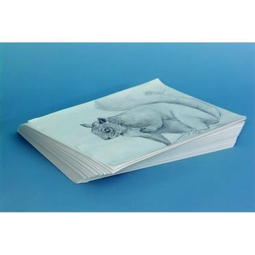 Sax Drawing Paper, 80 lb, 18 x 24 Inches, Pearl Gray, 500 Sheets ...