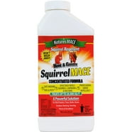 Messinas Squirrel Stopper Animal Repellent, 32oz Trigger Ready tp Use ...