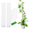 Moss Column For Climbing Plants - Set Of 2 Growth Supports For Monstera ...