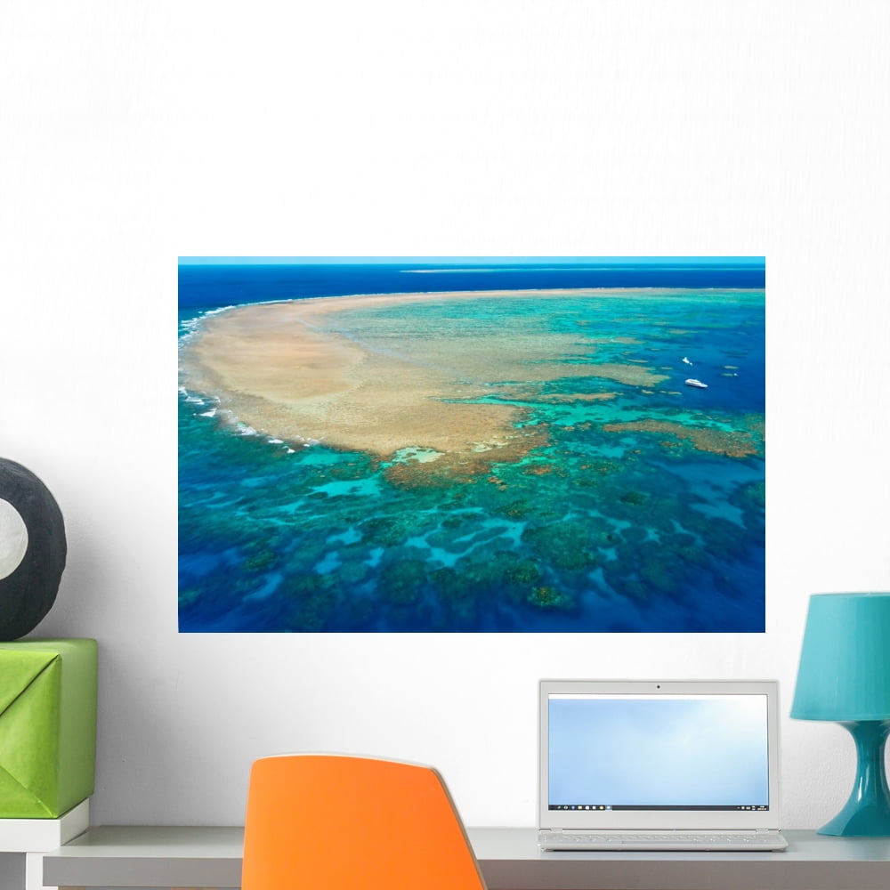 Great Barrier Reef Wall Mural by Wallmonkeys Peel and Stick Graphic (24 ...
