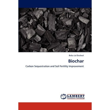 Mastering Rust -Second Edition (Paperback) - Walmart.com