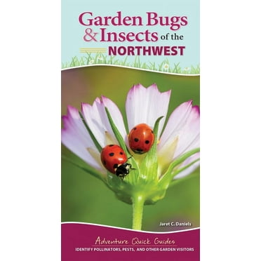 Backyard Bugs: An Identification Guide to Common Insects, Spiders, and ...