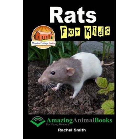 Rats for Kids | Walmart Canada