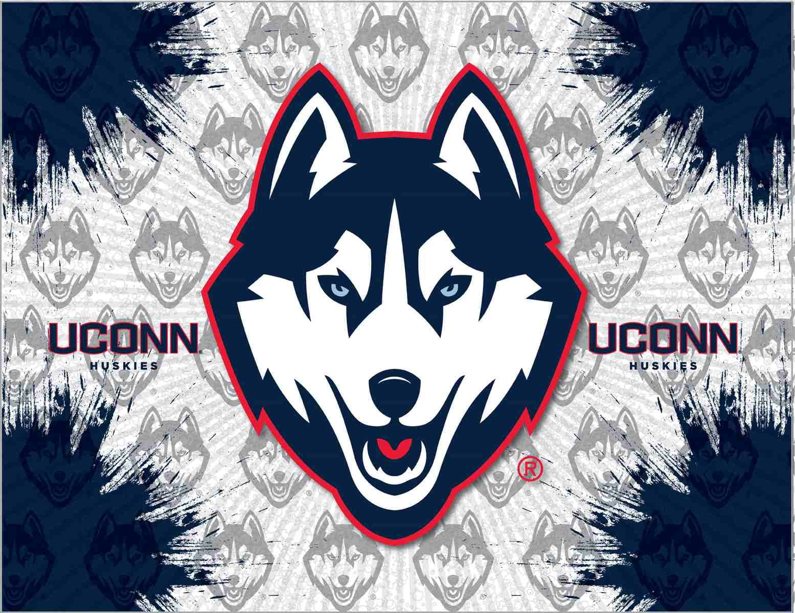 UConn Huskies 24" x 32" Printed Canvas Art - Walmart.com - Walmart.com