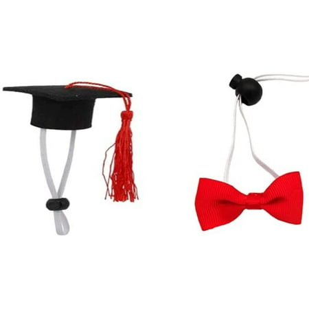 Small Animal Graduation Cap Mini Bachelor Hats Pet Graduation Caps with ...