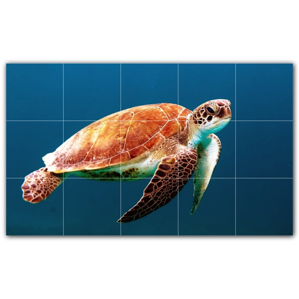 Picture-Tiles.com: Turtle Ceramic Tile Wall Mural WAL501083-53XL. 60"W ...