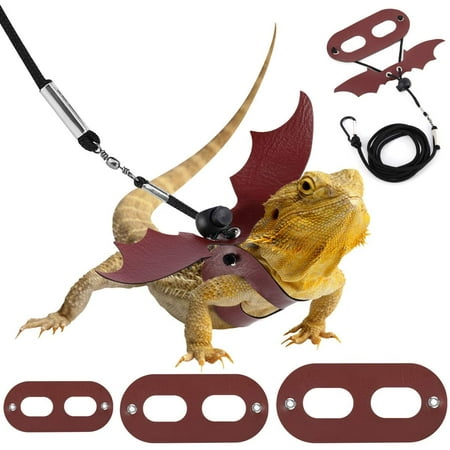 IGUOHAO Adjustable Bearded Dragon Harness and Leash, 3 Size Leather ...