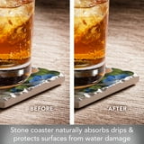 CounterArt "Style 3 Bluebirds" 1 Pack Single Absorbent Stone Tumbled ...