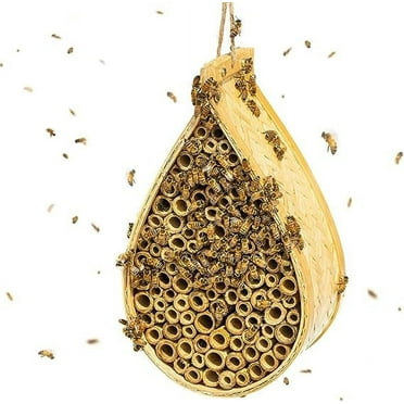 WILDLIFE FRIEND Premium Weatherproof Insect Hotel - Durable Bug House ...