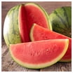 Everwilde Farms - 1 oz Dixie Queen Watermelon Seeds - Gold Vault Bulk ...