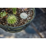 SMART POT No Coco Liner 16" - Forest Green - Walmart.com