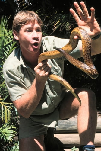 Steve Irwin holding snake 24x36 Poster - Walmart.com
