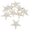 Natural Bleached Philippine Starfish, Craft Supplies, Feathers And ...
