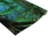 Teacher Created Resources Better Than Paper Bulletin Board Roll, 4' x ...