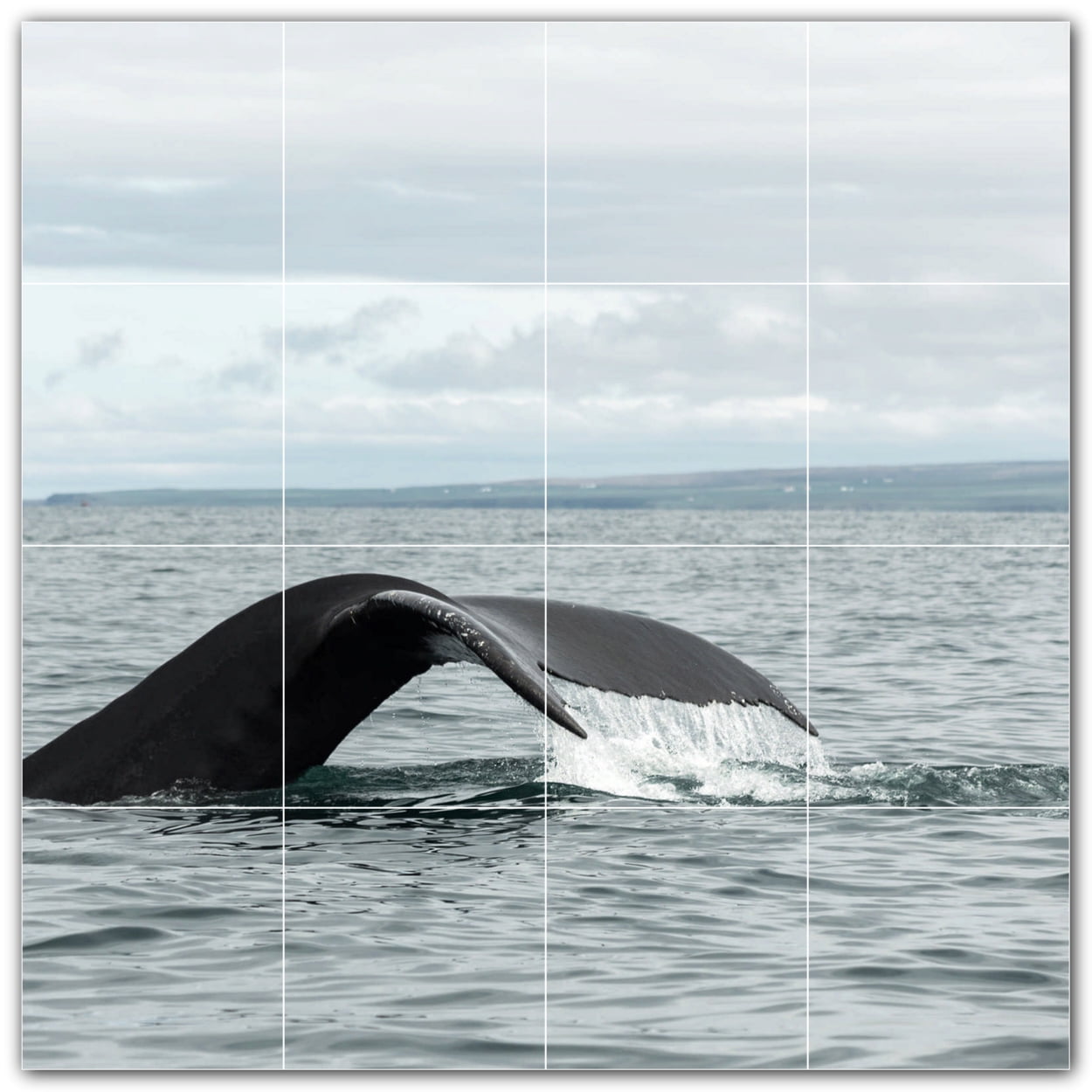 Picture-Tiles.com: Whale Ceramic Tile Wall Mural WAL501191-44L. 32"W x ...